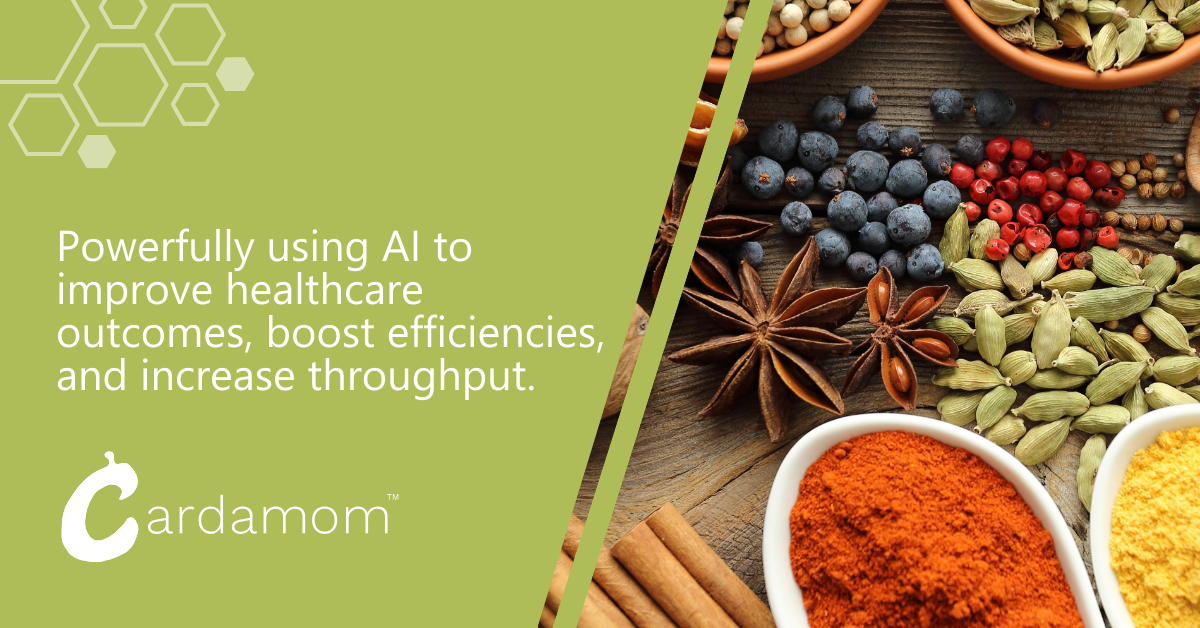 AI Services | Cardamom